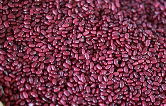 Cosecha de granos básicos aumentará 12 % y también habrá más áreas ...